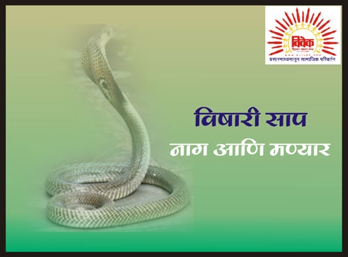 विषारी साप : नाग आणि मण्यार